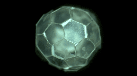 What shapes can we make with liquid marbles? - Advanced Science News