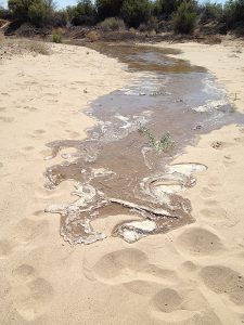 What’s so special about rivers that run dry? - Advanced Science News