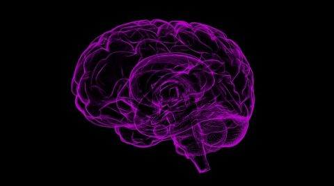 Guideomics to live up to the promise of biotechnology for precision ...