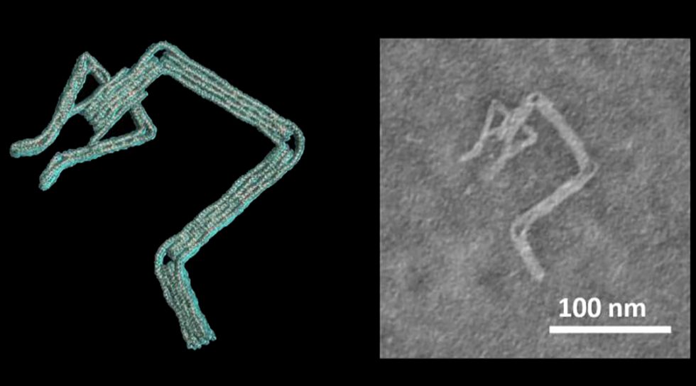 DNA robots designed in minutes instead of days - Advanced Science News
