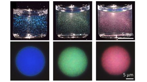 Bottlebrush polymers create a rainbow of structural colors - Advanced ...