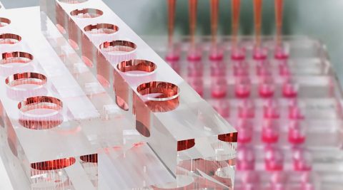 A biochip with organ-specific tissue models for advanced drug screening ...