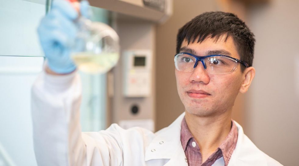 Lighting up hydrogels - Advanced Science News