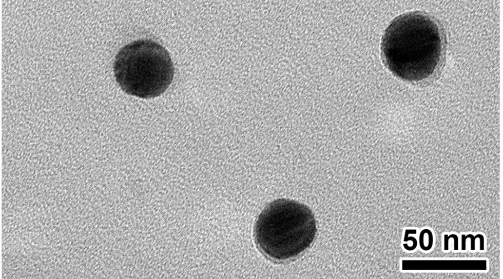 Better photothermal therapy to improve bladder cancer survival ...