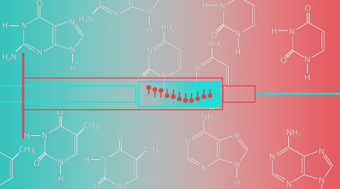 Home | Advanced Science News - Advanced Science News