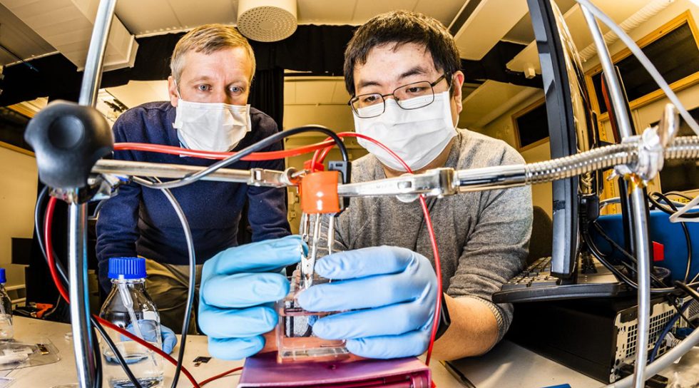 A new look at color displays - Advanced Science News