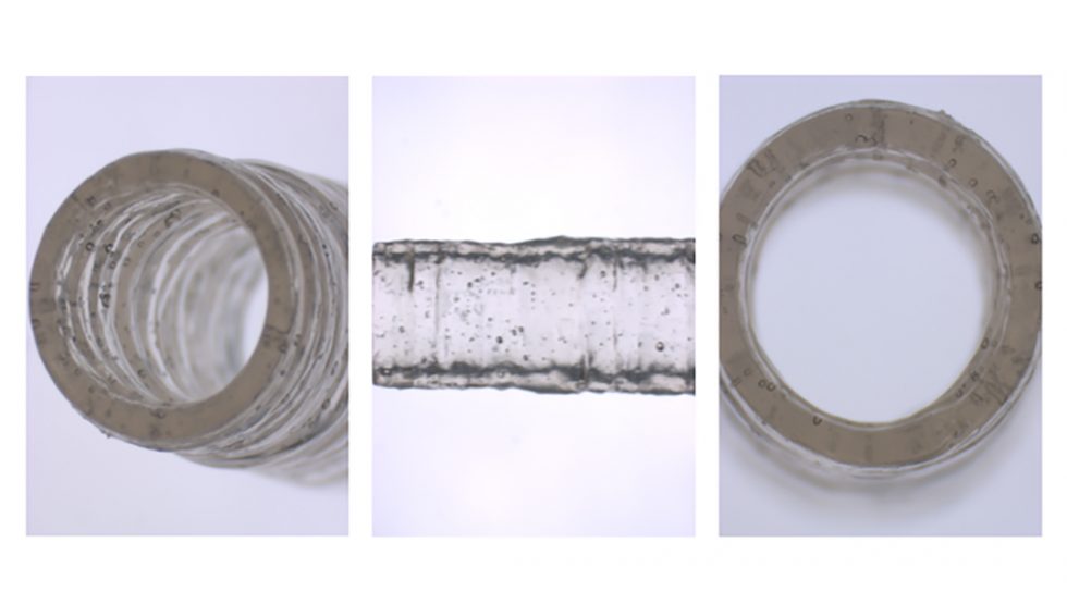 Engineers grow 3D-bioprinted blood vessel - Advanced Science News