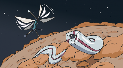 Soft robots in space - Advanced Science News