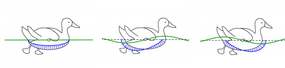 How ducklings hacked swimming - Advanced Science News