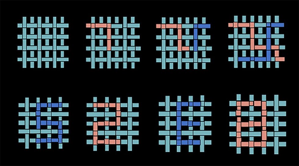 Making wound dressings from spider silk - Advanced Science News