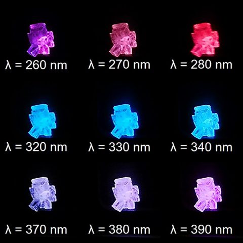 Science in pictures - Advanced Science News