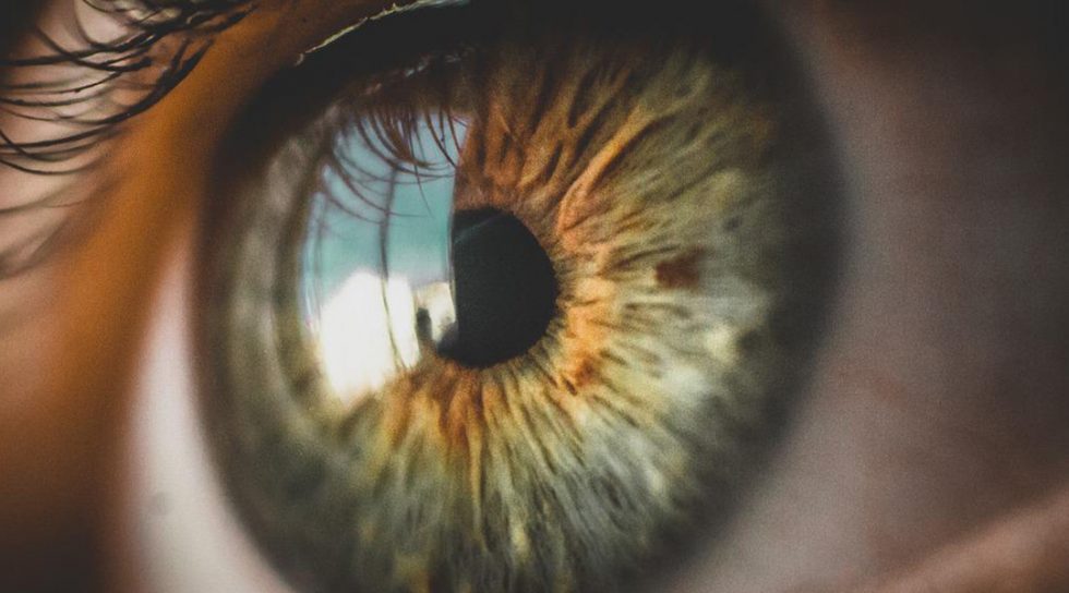 Robotic eyes unconstrained by human perception - Advanced Science News