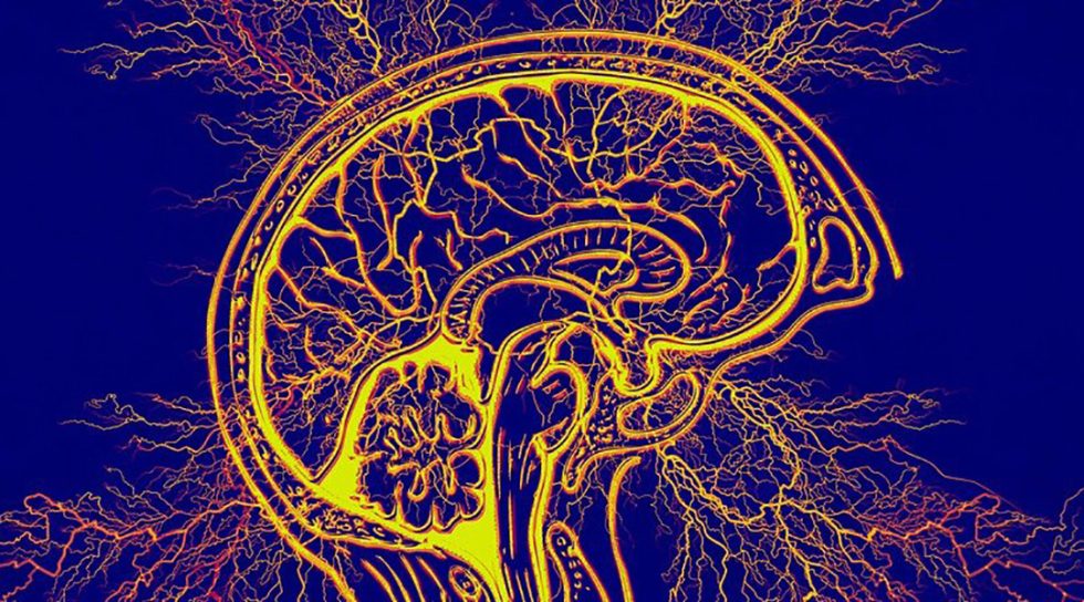 A nasal spray to treat epilepsy - Advanced Science News