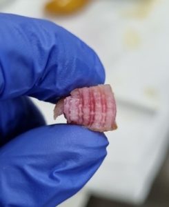 3D-printed steak brings lab-grown meat closer to the dinner table ...