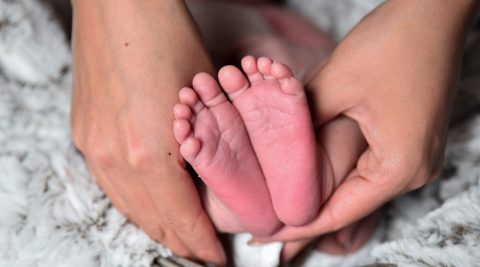 The complex path to the development of the infant microbiome - Advanced ...