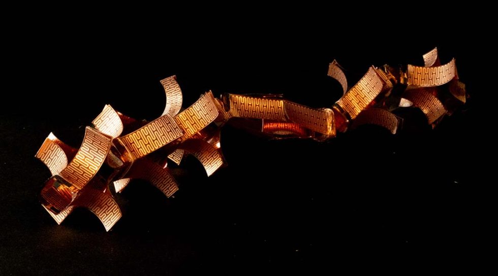 Crawling Earthworm robots get a soft polymer boost - Advanced Science News