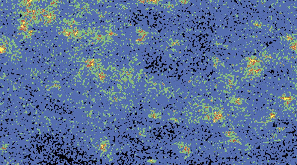 Victoria Corless, Author at Advanced Science News