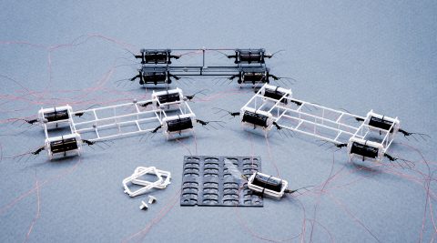Robotic insects that fly in teams to lift objects - Advanced Science News