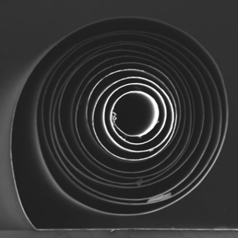 Science in pictures - Advanced Science News