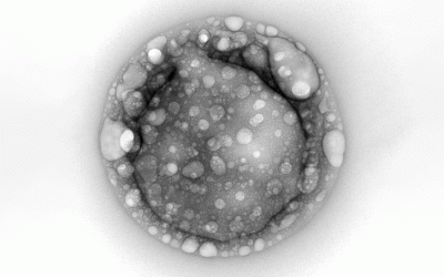 Home | Advanced Science News - Advanced Science News