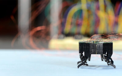 Team builds first living robots using frog stem cells - Advanced Science News