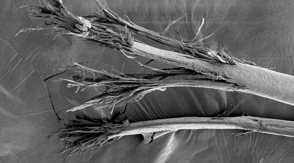 Home | Advanced Science News - Advanced Science News