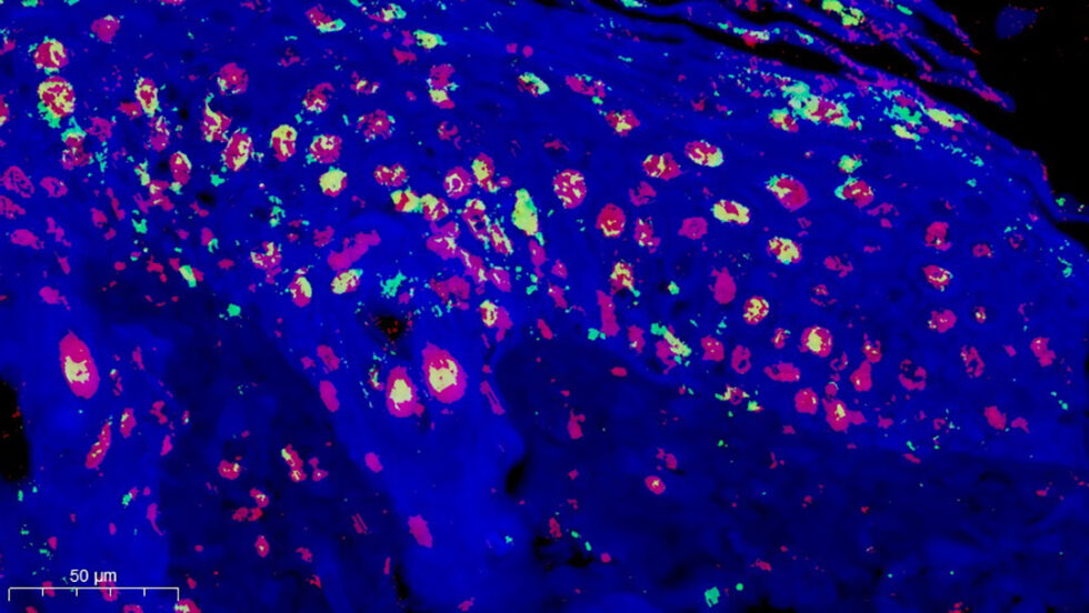 Home | Advanced Science News - Advanced Science News