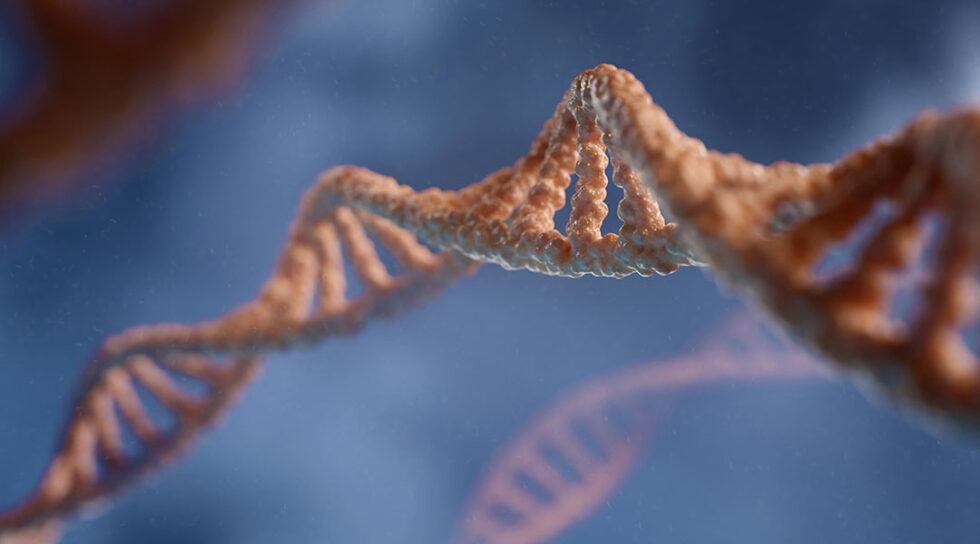 Researchers explain the intricate interactions that shape DNA ...