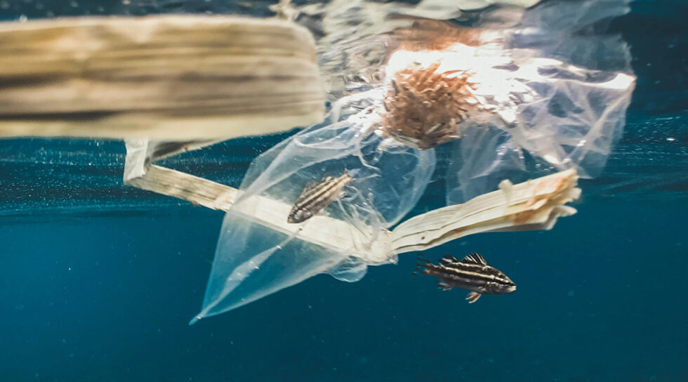 New plastic material fully degrades in the ocean - Advanced Science News