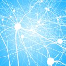 Team builds first living robots using frog stem cells - Advanced Science News